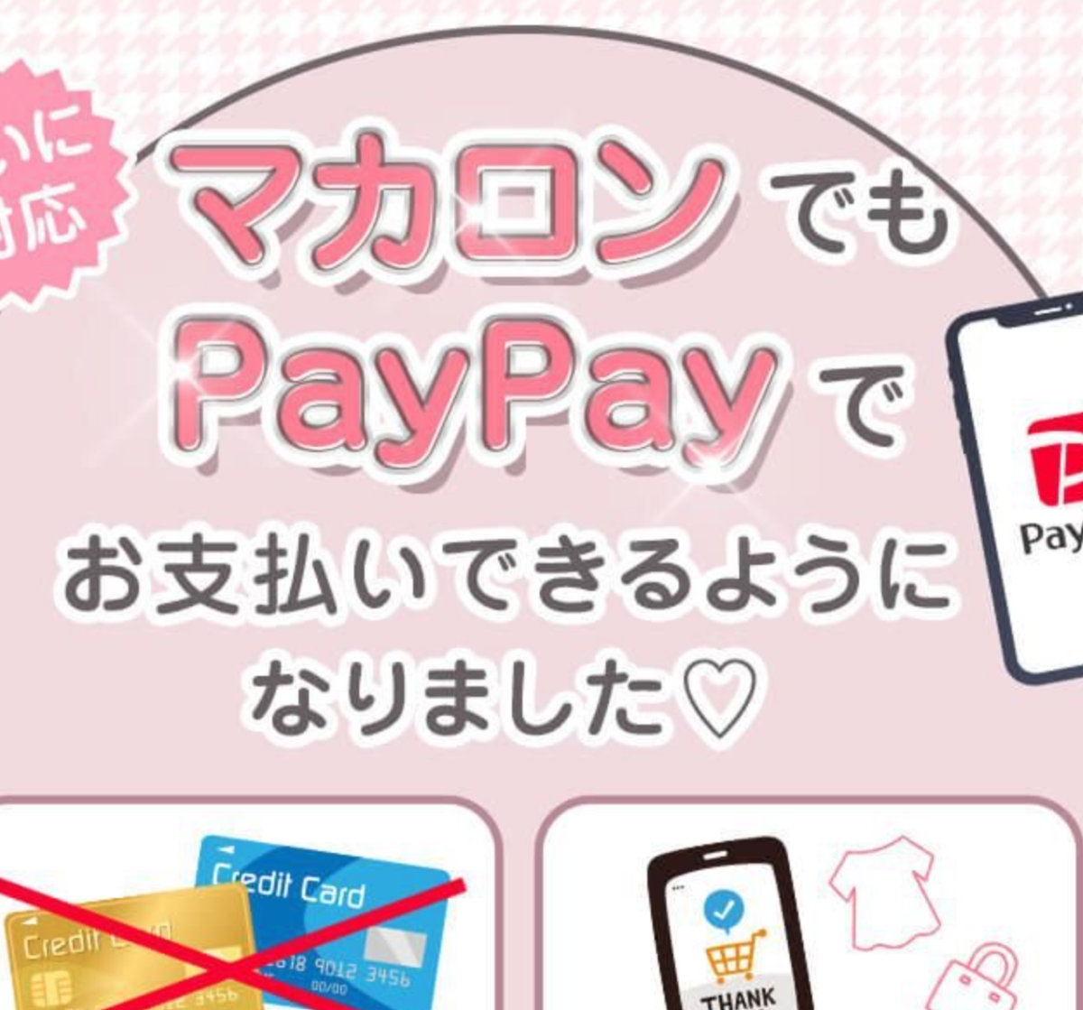【朗報】RadyもミシェルマカロンもPayPayが使えるようになったー！ | ms2300Blog